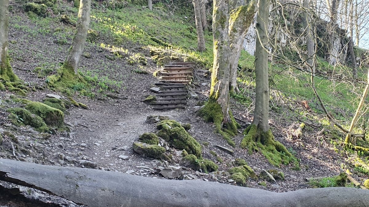 Visit Settle - Nature